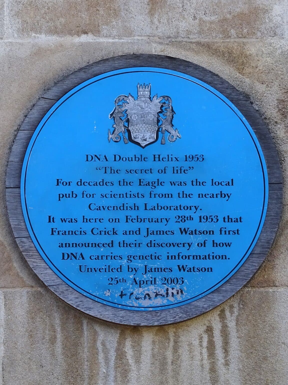 The Human Family Tree: Our Shared DNA Across Continents